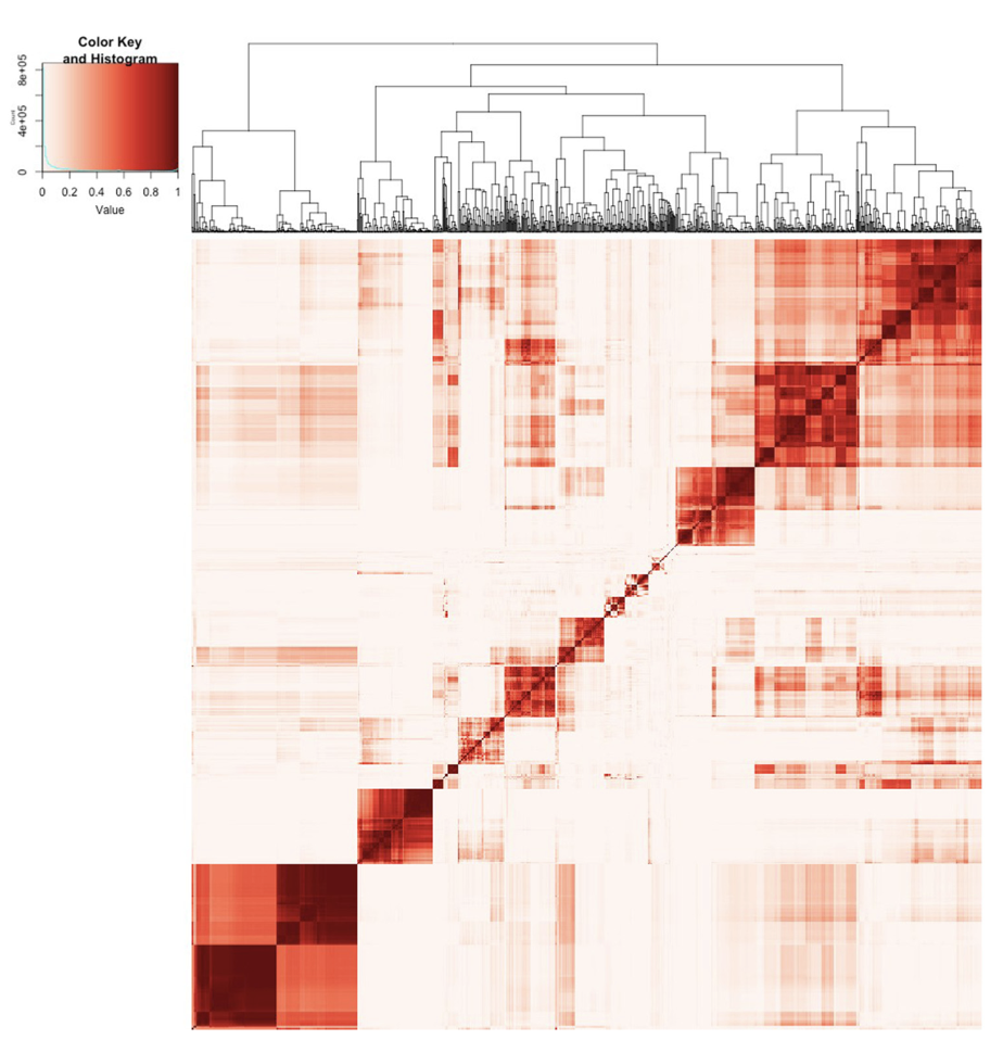 Application of CT-based radiomics in predicting portal pressure and ...