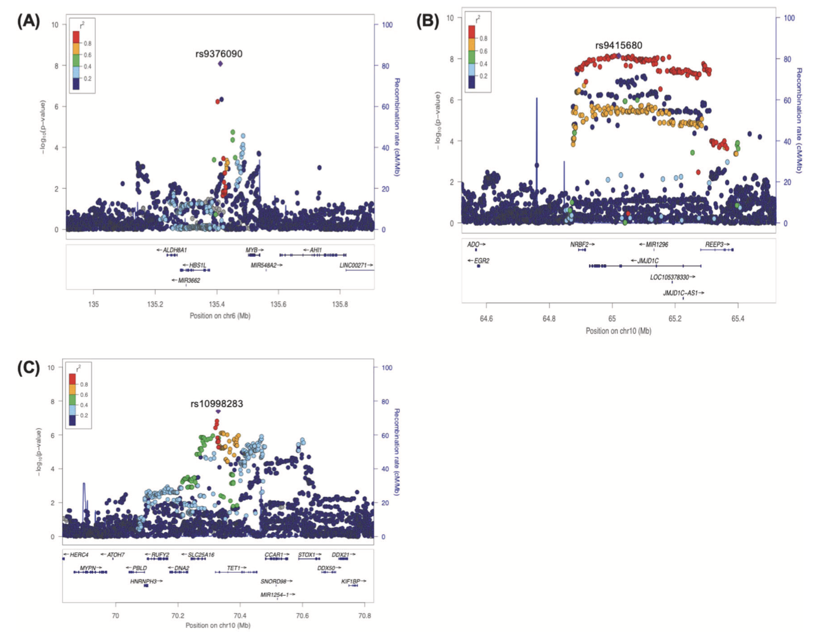 Genome-wide trans-ethnic meta-analysis identifies novel susceptibility ...