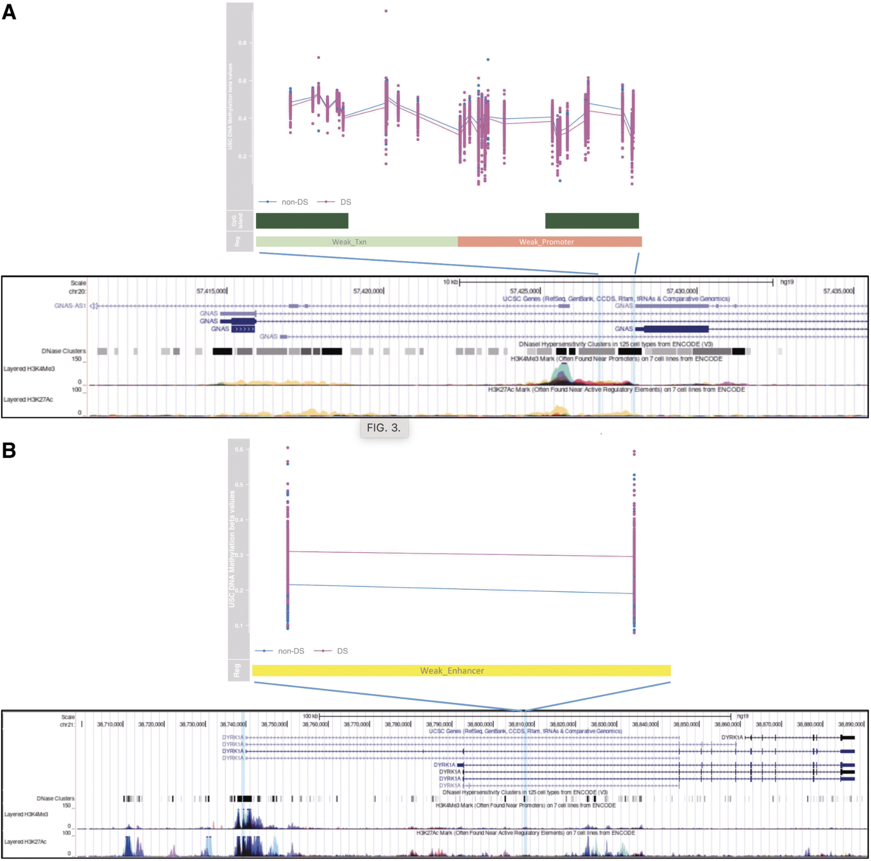 Meta Analysis Of Dna Methylation Datasets Shows Aberrant Dna Methylation Of Thyroid Development
