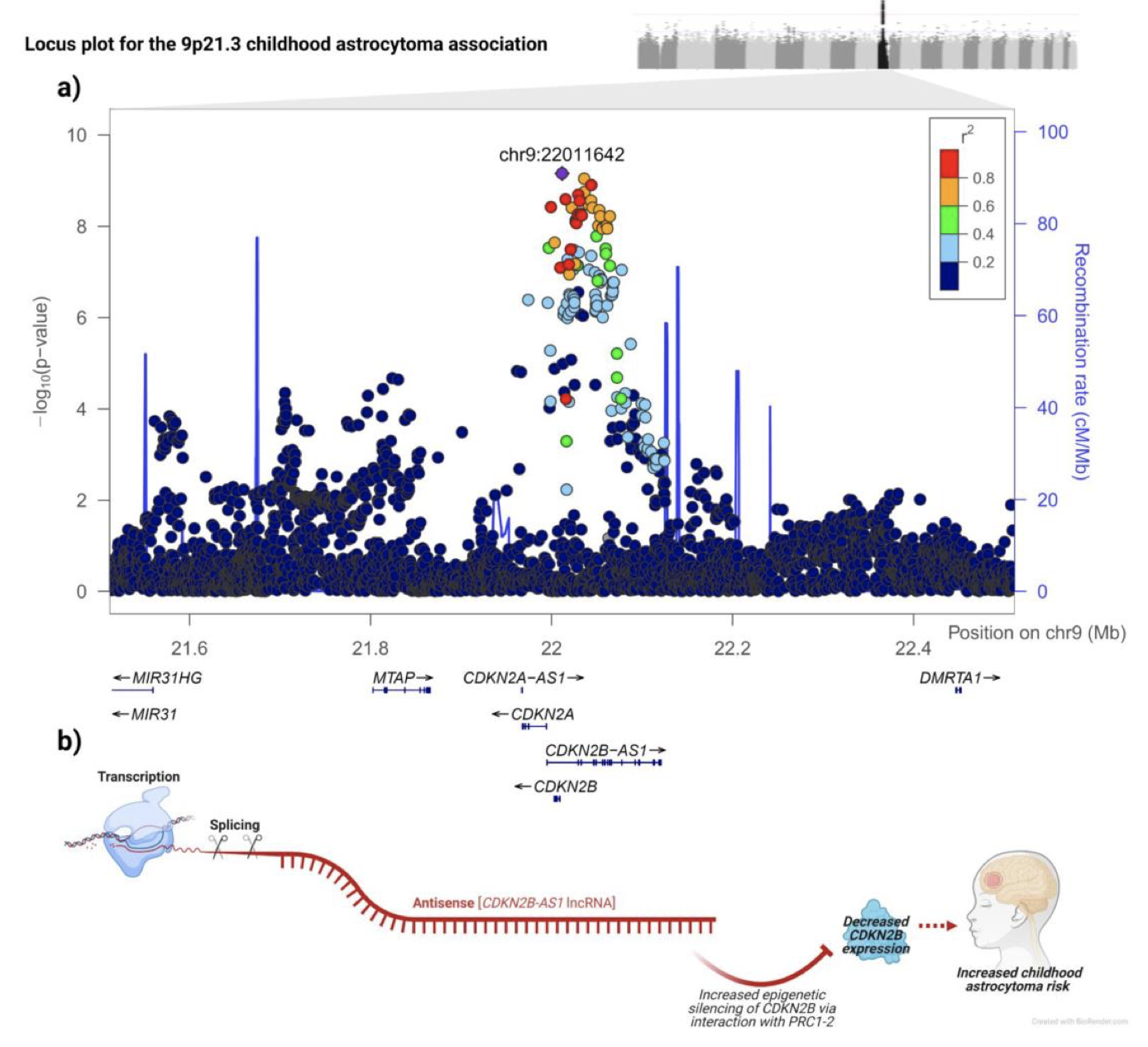 Multi-ancestry genome-wide association study of 4,069 children with ...